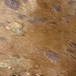 Treesje | Bags | Treesje Metallic Gold Rawhide Tote | Poshmark